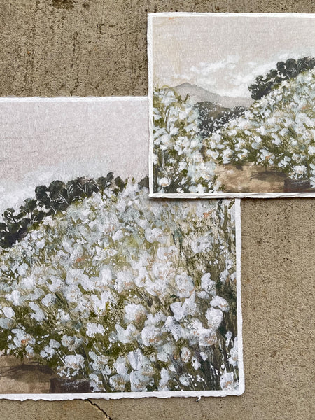 Primrose Road – CELESTE C. CLARK