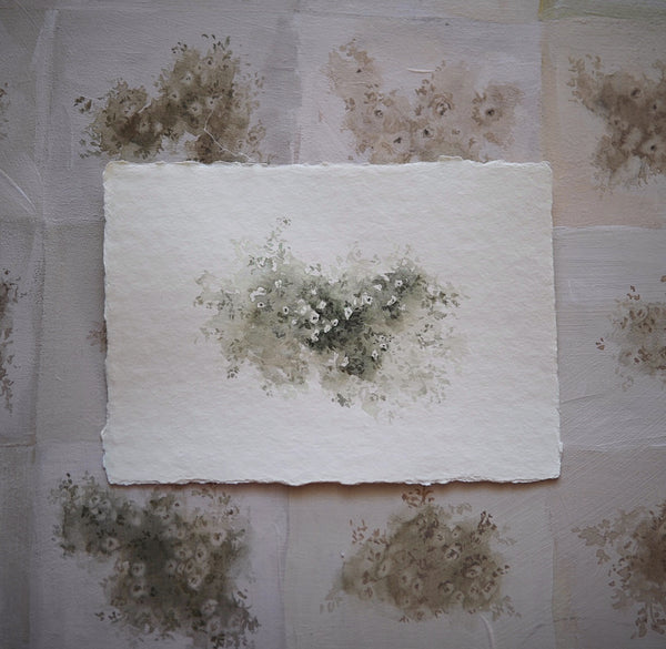 Pioneer Rose Studies 9 – CELESTE C. CLARK