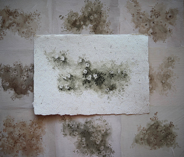 Pioneer Rose Studies 6 – CELESTE C. CLARK